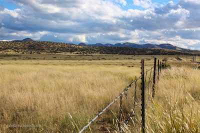 Establishing Pastures: A Common Sense Approach - Countryside